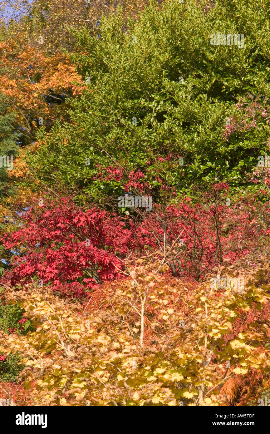 Autumn foliage in holehird gardens, Windermere, Lake district, UK Stock ...