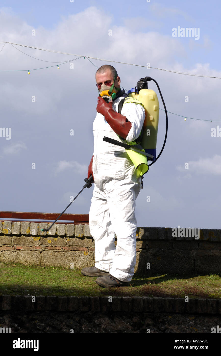 Adult male wearing a white chemical suit and face mask spraying ...