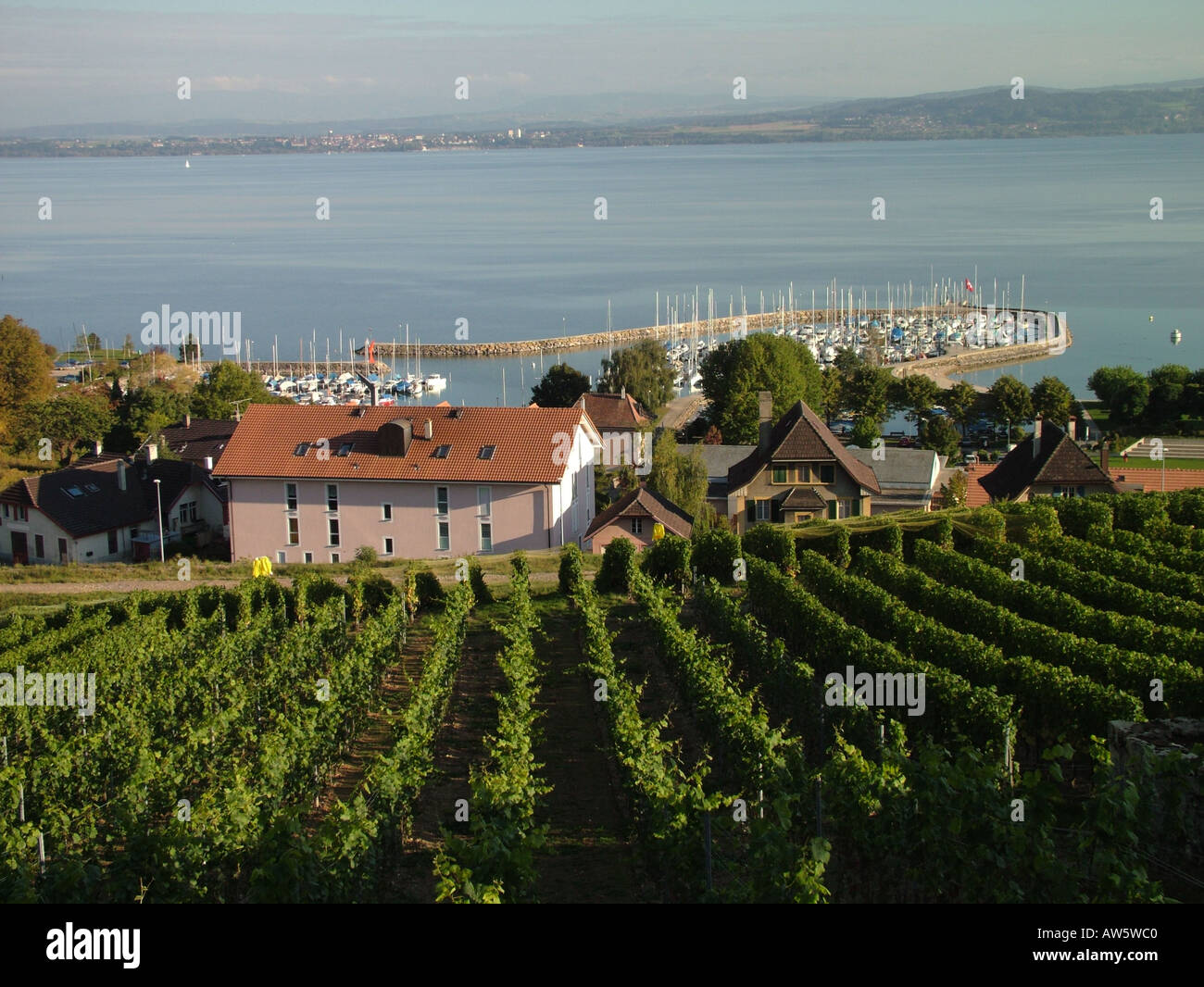 Swiss vineyards lake neuchatel hi-res stock photography and images - Alamy