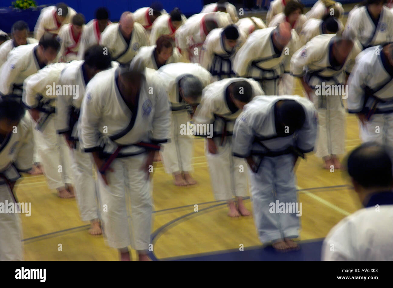karate class bow in Stock Photo - Alamy