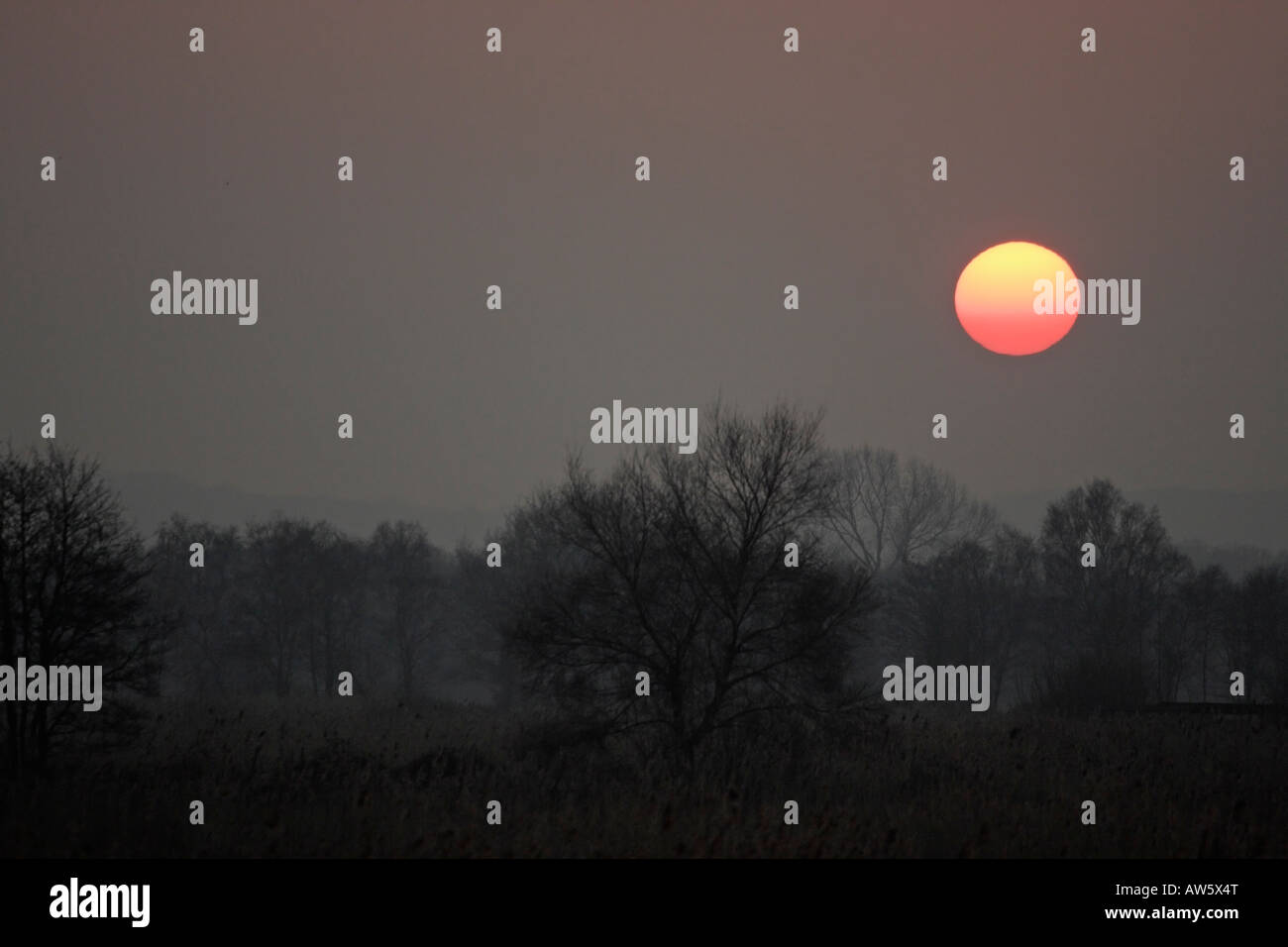 Sunset on the somerset levels Stock Photo - Alamy