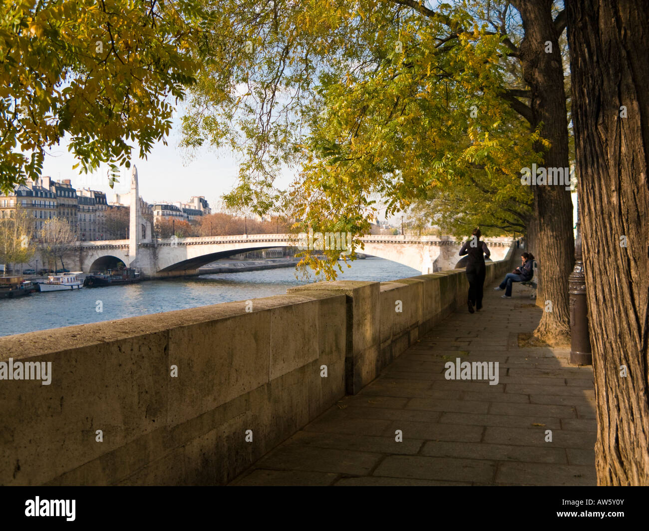 La seine statue sculpture hi-res stock photography and images - Alamy
