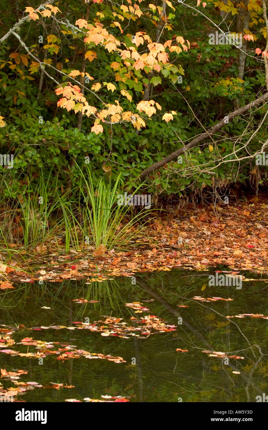 Tallulah lake hi-res stock photography and images - Alamy