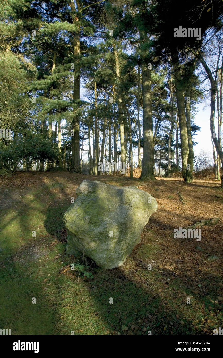 england midlands worcestershire the lickey hills country park south ...