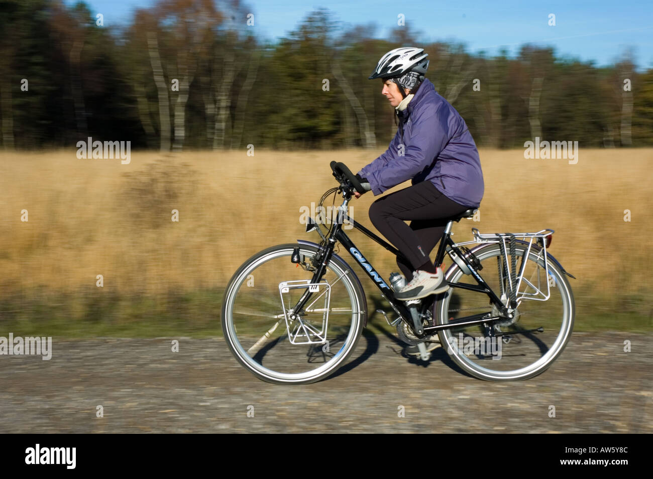 Lady cycling on forest track Dorset England UK Stock Photo - Alamy