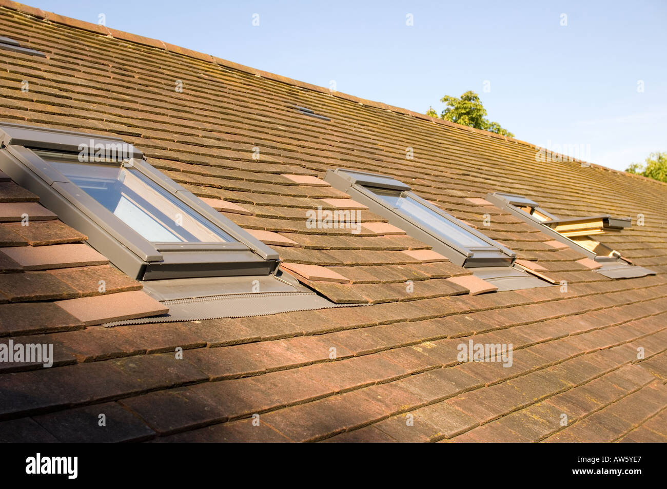loft windows on roof building conversion converted velux home ...