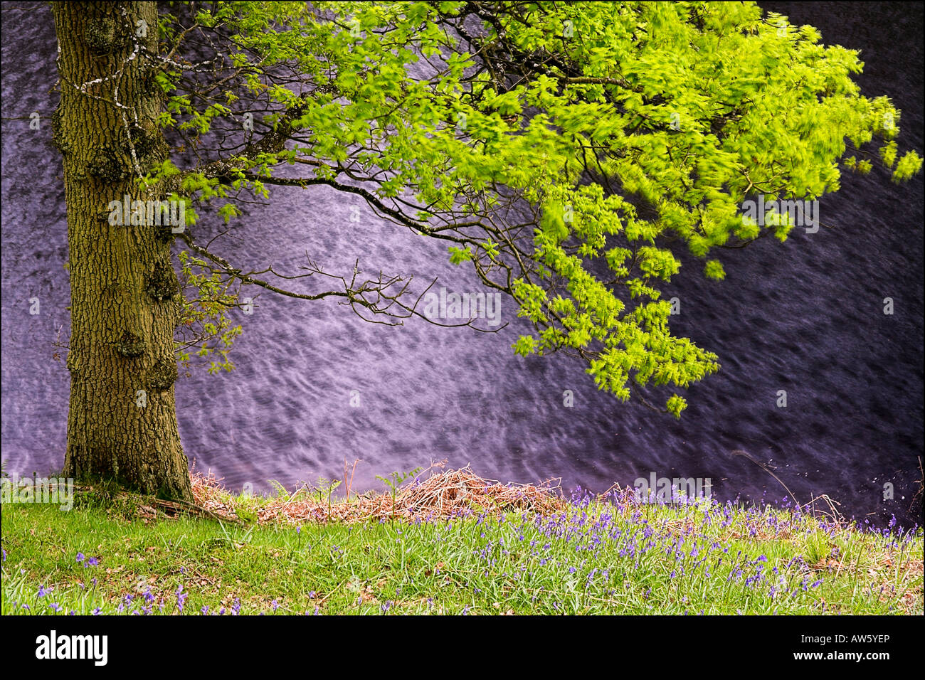 Springtime breeze hi-res stock photography and images - Alamy