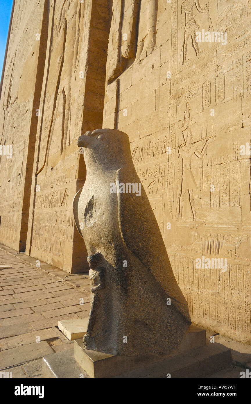 Horus falcon statue at temple of horus in edfu hi-res stock photography ...