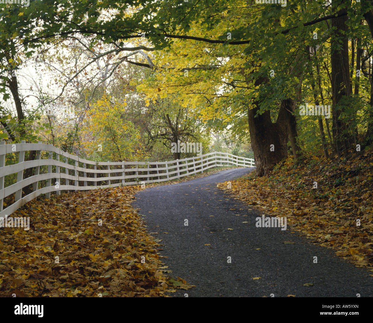 Fall foliage in pennsylvania hi-res stock photography and images - Alamy