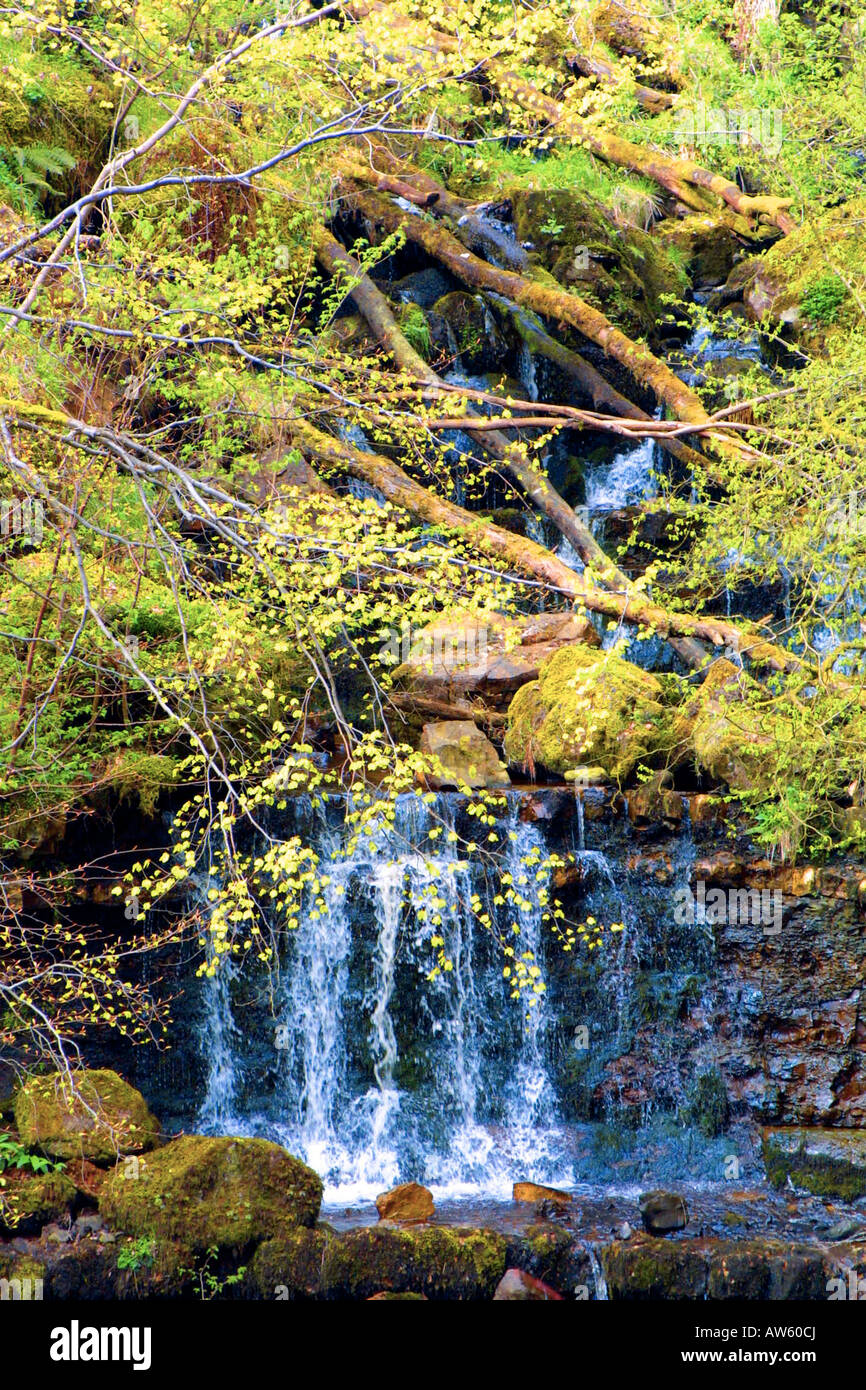 Campsie fells waterfall hi-res stock photography and images - Alamy