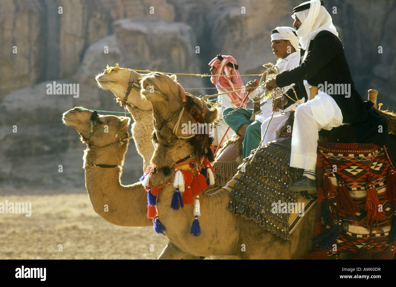 Three camel riders Stock Photo - Alamy