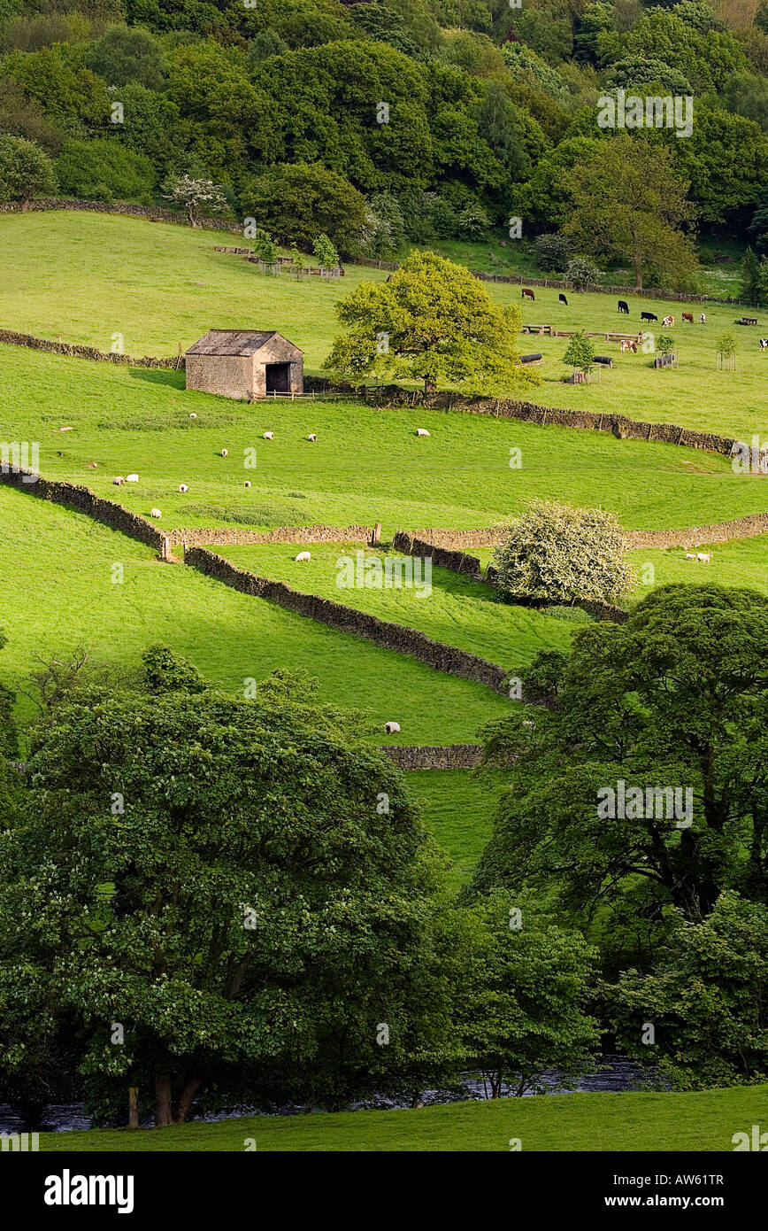Barn in field, Derbyshire, England Stock Photo - Alamy