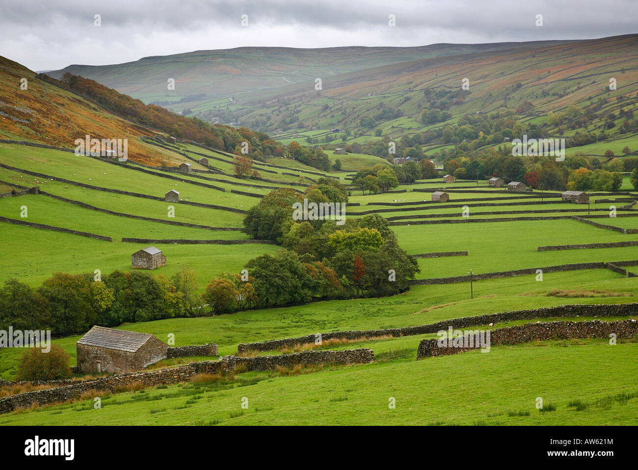 Farmland in the valley, Yorkshire Dales, England Stock Photo - Alamy