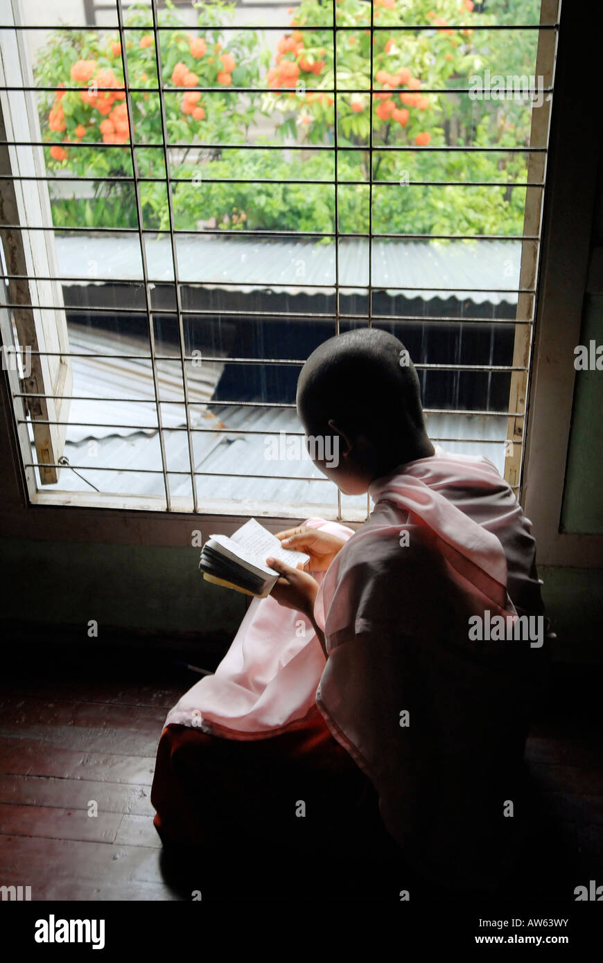 A young Buddhist nun is studying, using the daylight as there is no ...