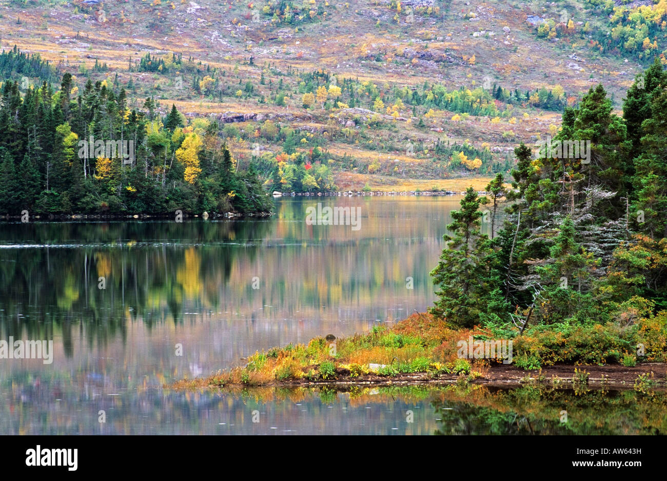 Lake and trees in fall near Swift Current, Burin Peninsula ...