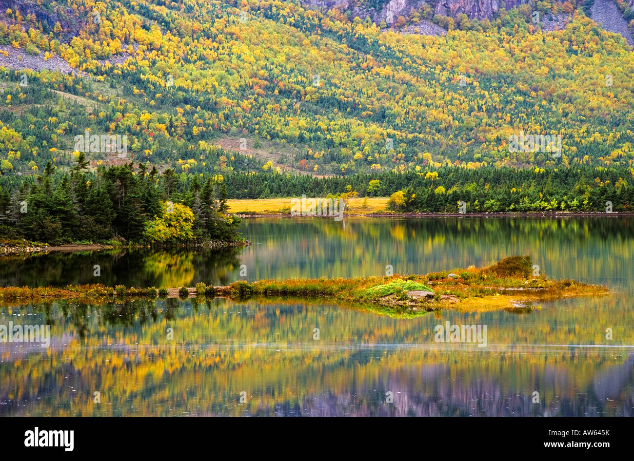 Burin newfoundland hi-res stock photography and images - Alamy