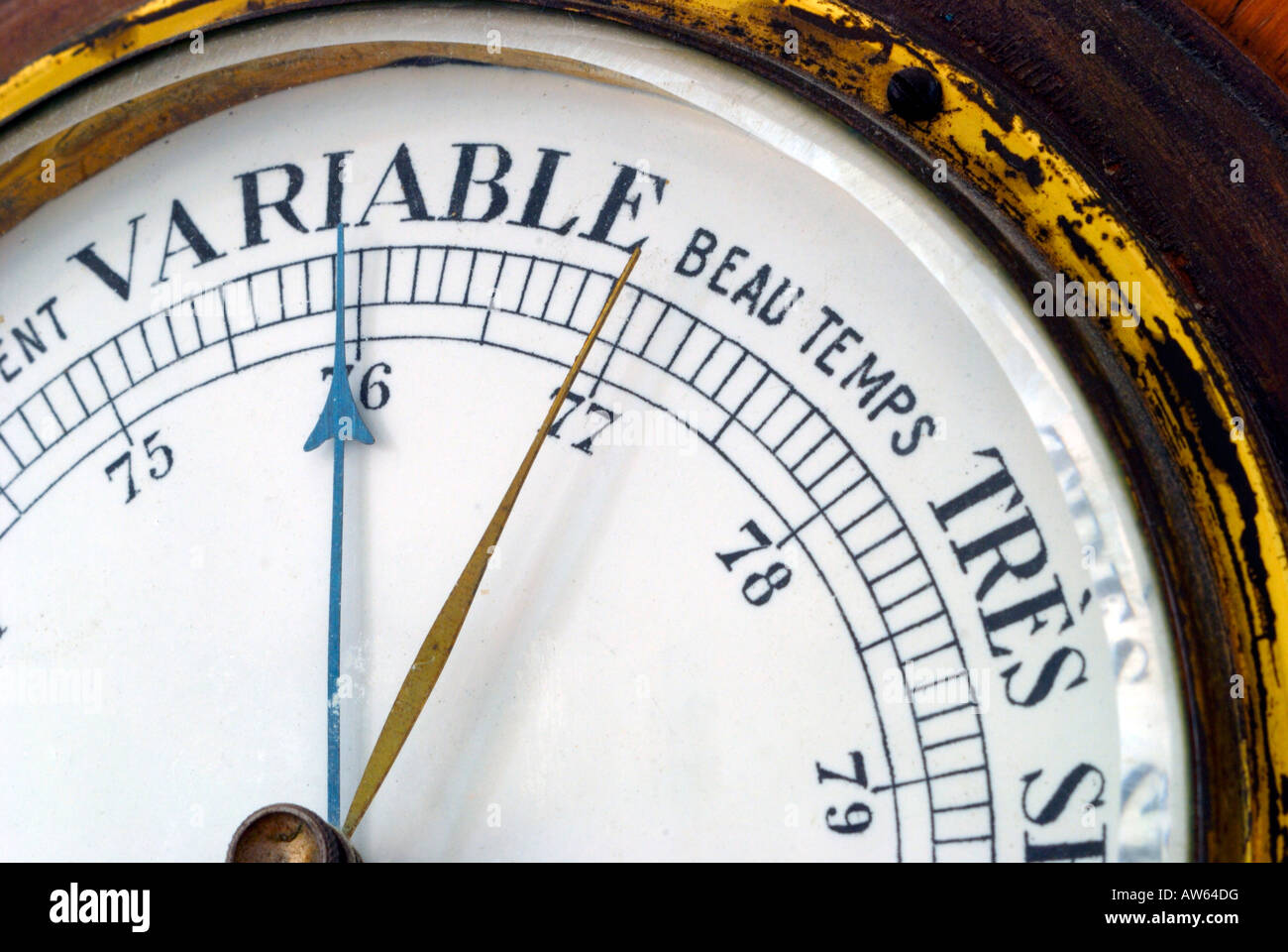 Natural barometer hi-res stock photography and images - Alamy