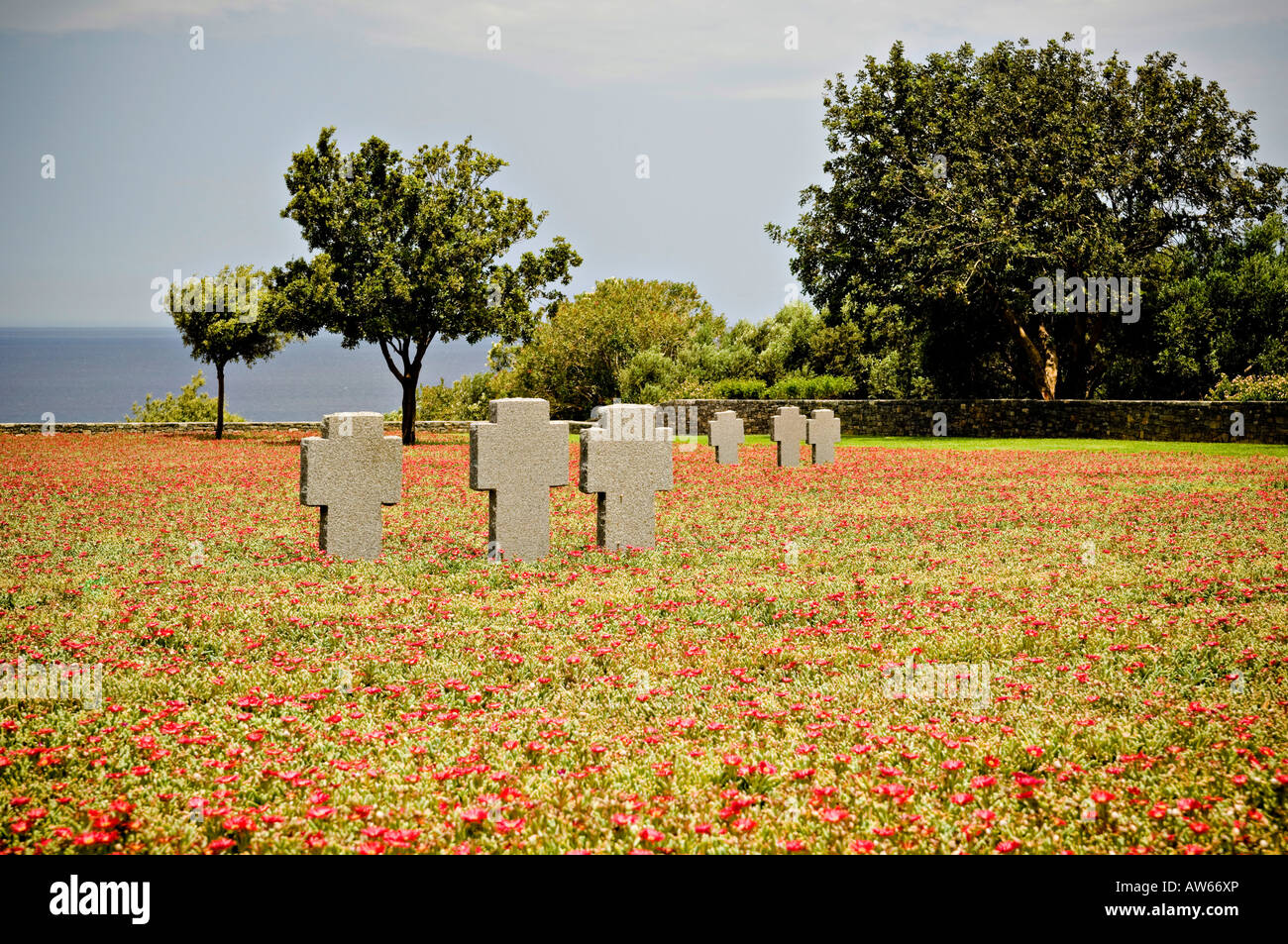 Trees and headstones at German war cemetery in Maleme, Crete, Greece ...