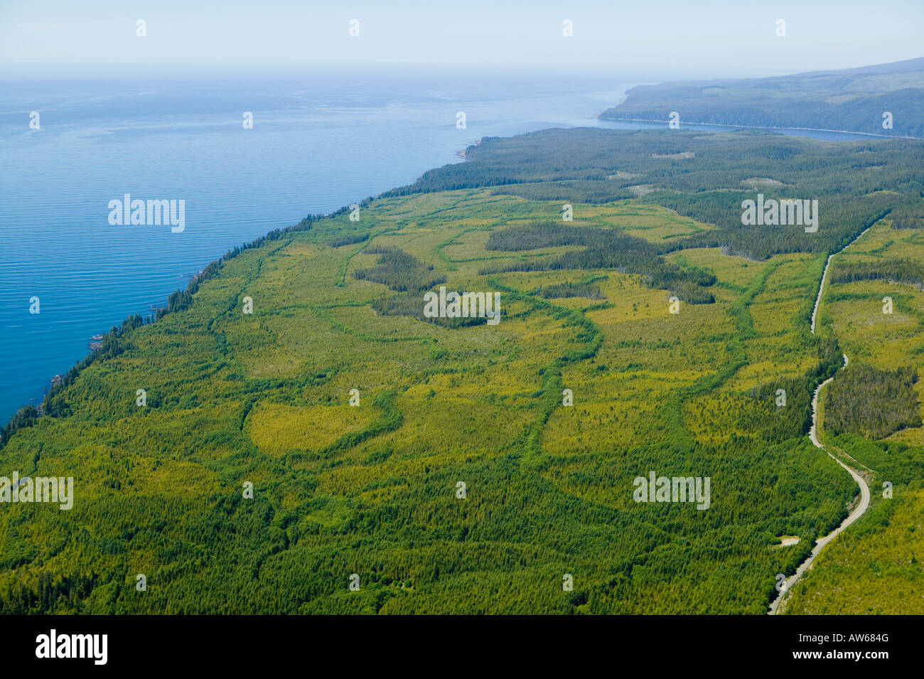 Aerial View of Previously Logged Forest West Coast Vancouver Island, BC ...