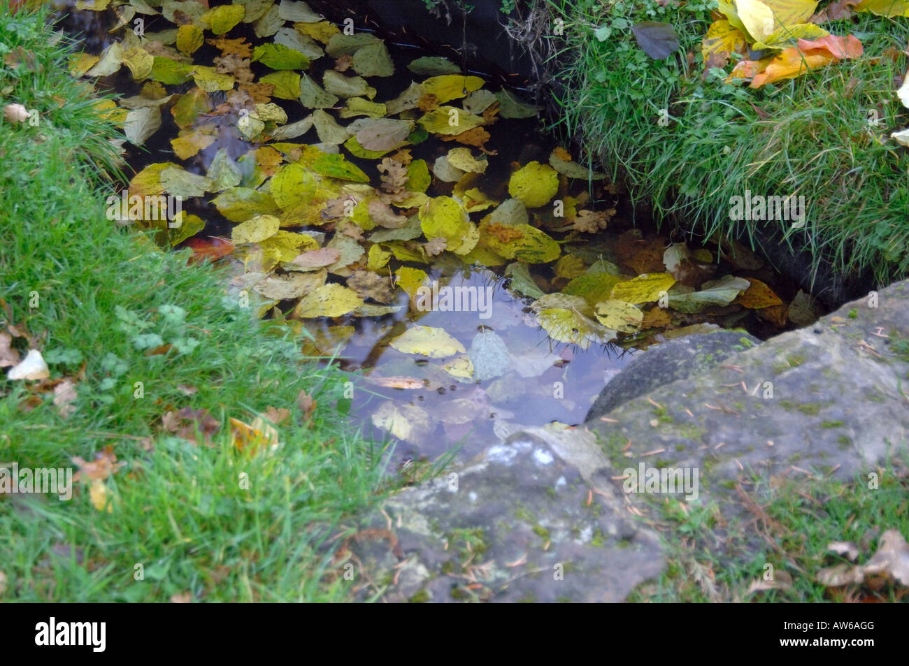 Water shaded hi-res stock photography and images - Alamy