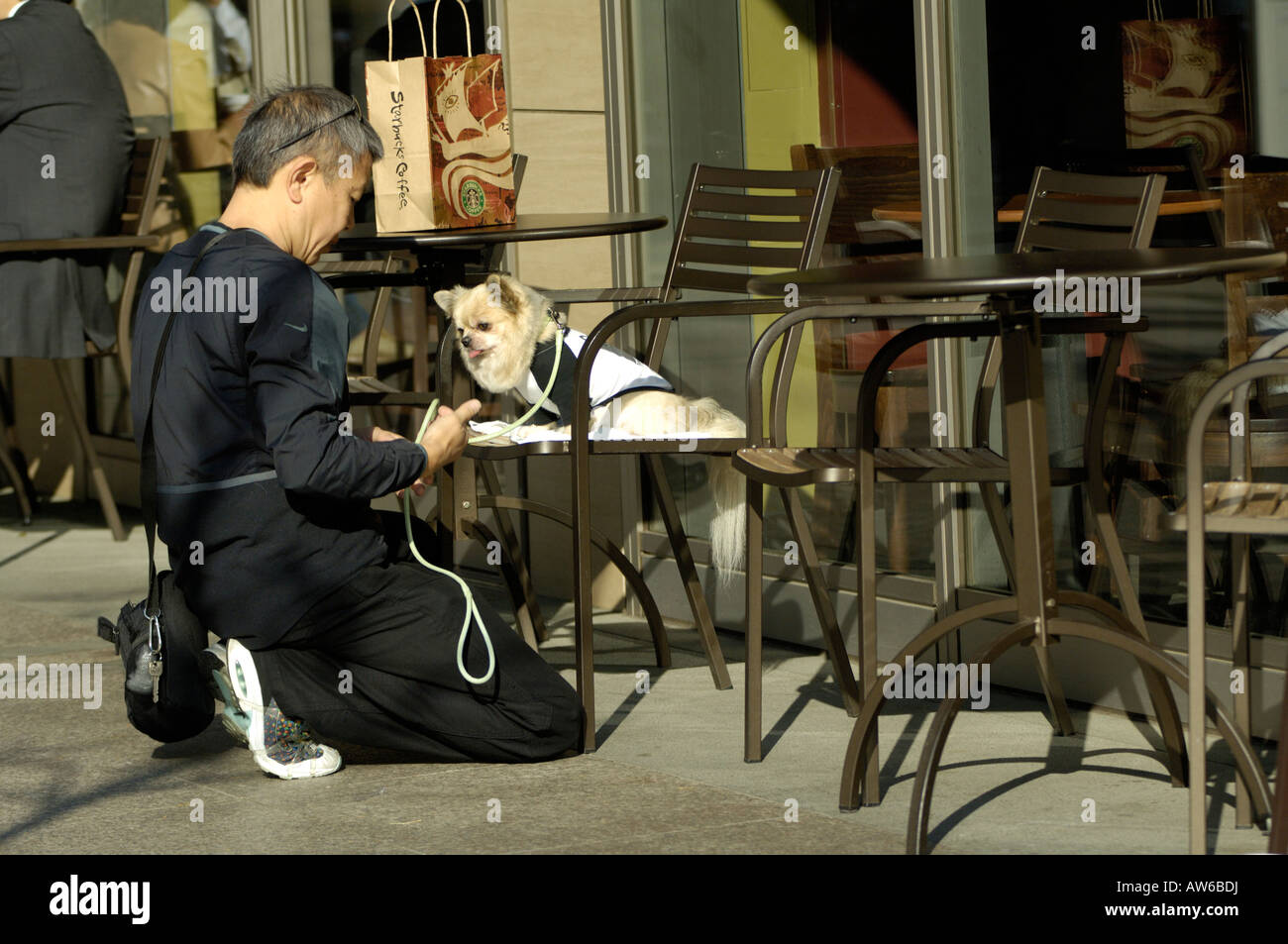 Tokyo pet shop hi-res stock photography and images - Alamy
