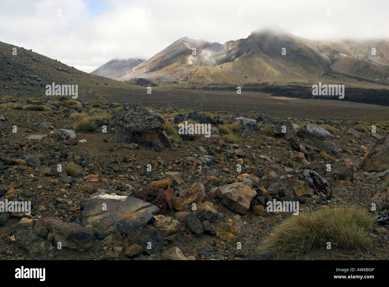 Central Crater arear towards Mt Tongariro, North Island, New Zealand ...