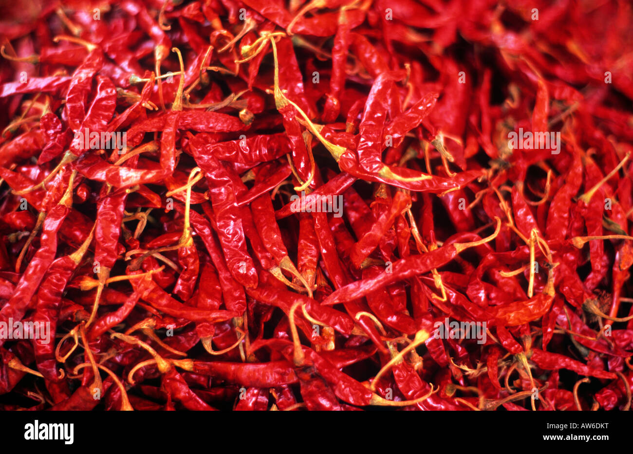 Red dried chillies hi-res stock photography and images - Alamy