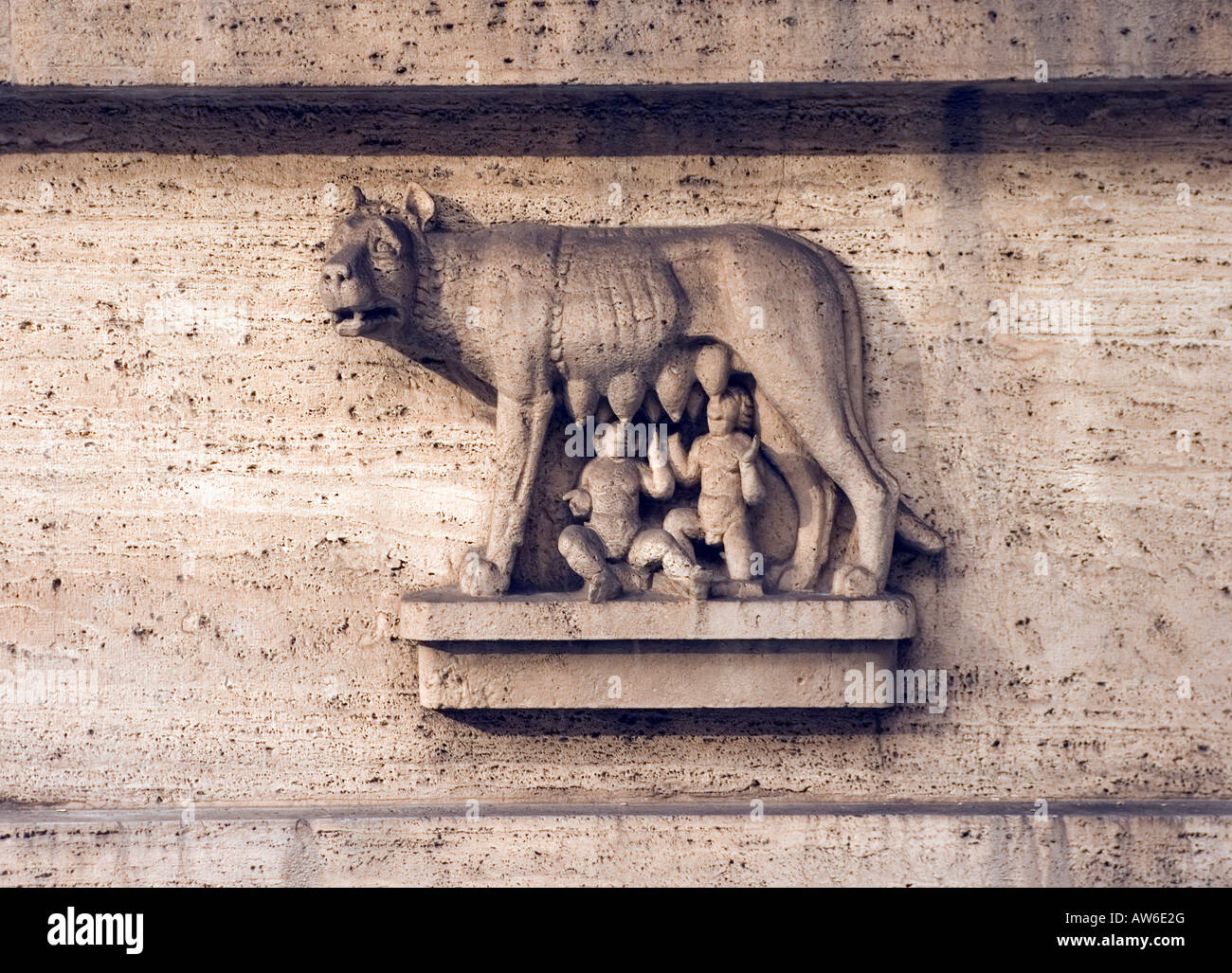 Wolf rome hi-res stock photography and images - Alamy