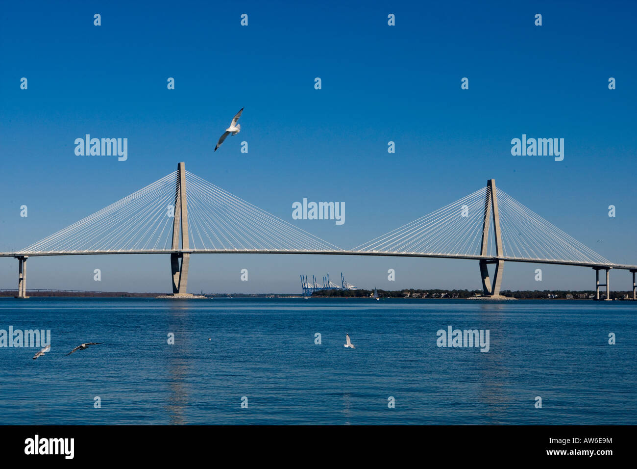 The Arthur Ravenel Jr Cooper River bridge, the longest cable stayed ...