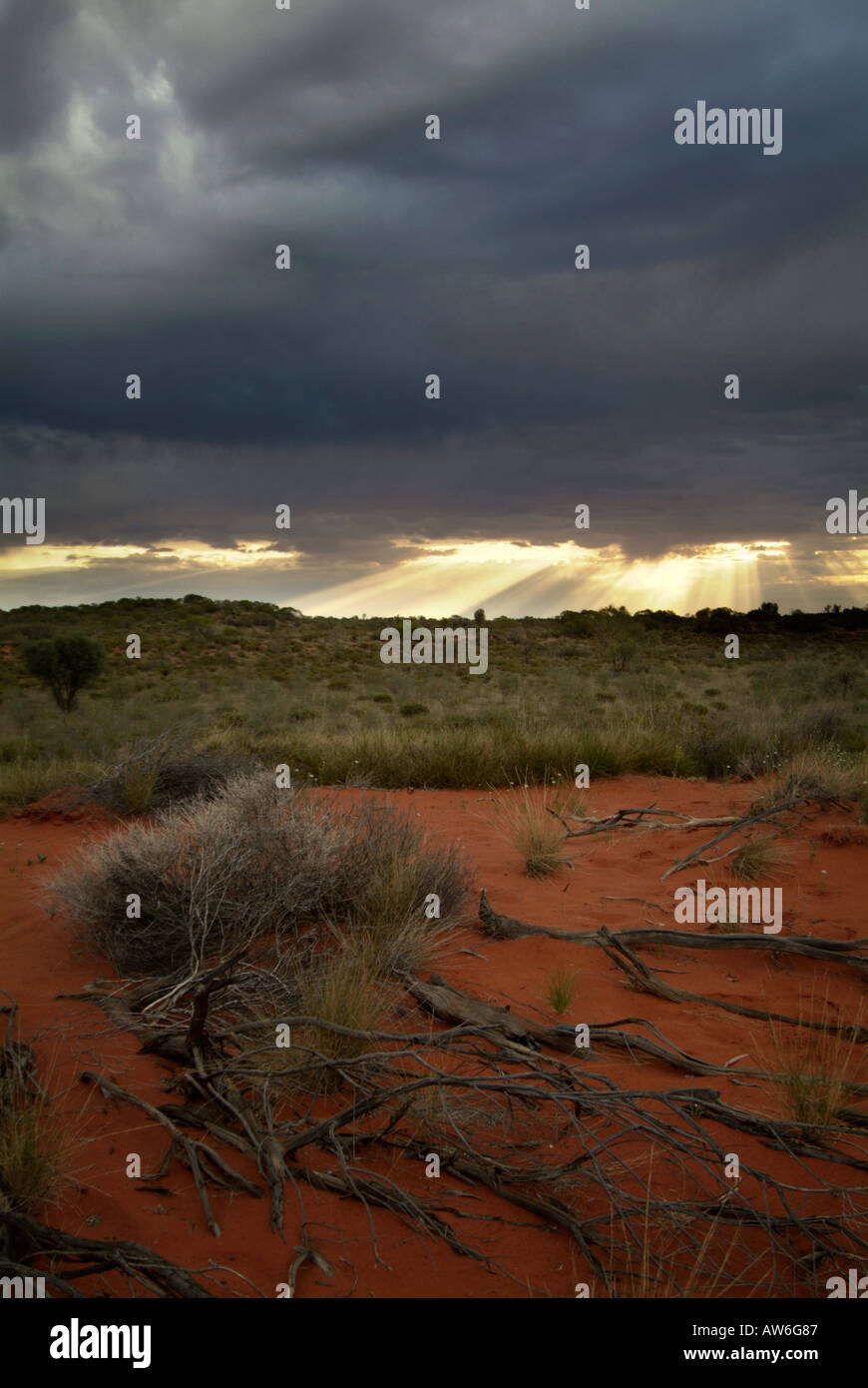 Australian outback scrub desert Australia rock water dry arid hot heat ...