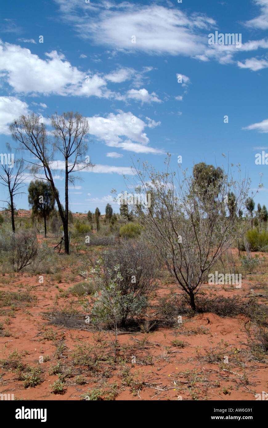 Australian outback scrub desert Australia rock water dry arid hot heat ...