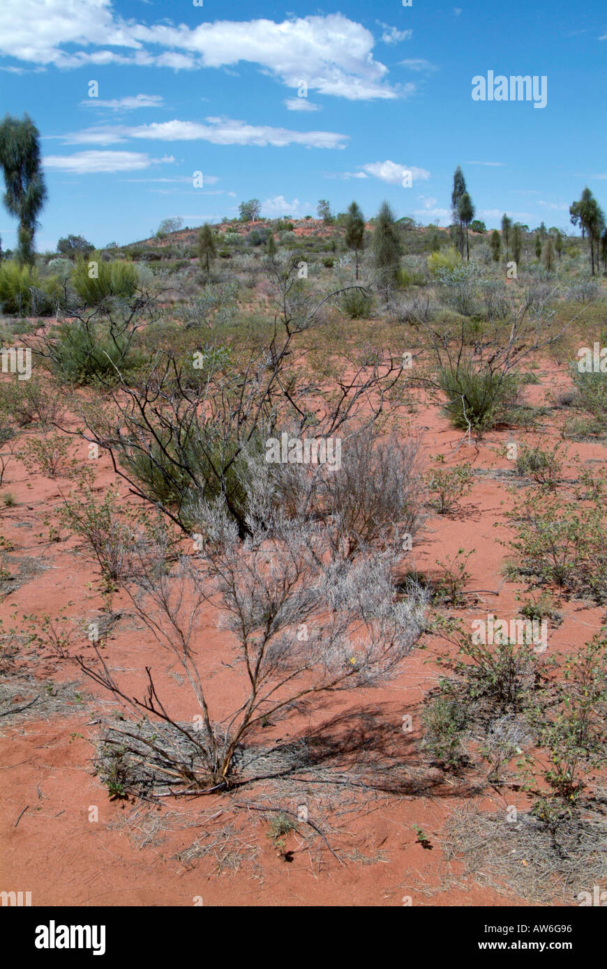 Australian outback scrub desert Australia rock water dry arid hot heat ...