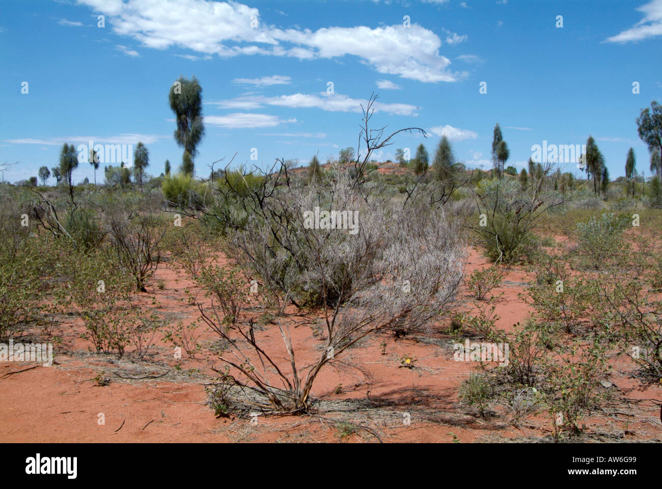 Australian outback scrub desert Australia rock water dry arid hot heat ...