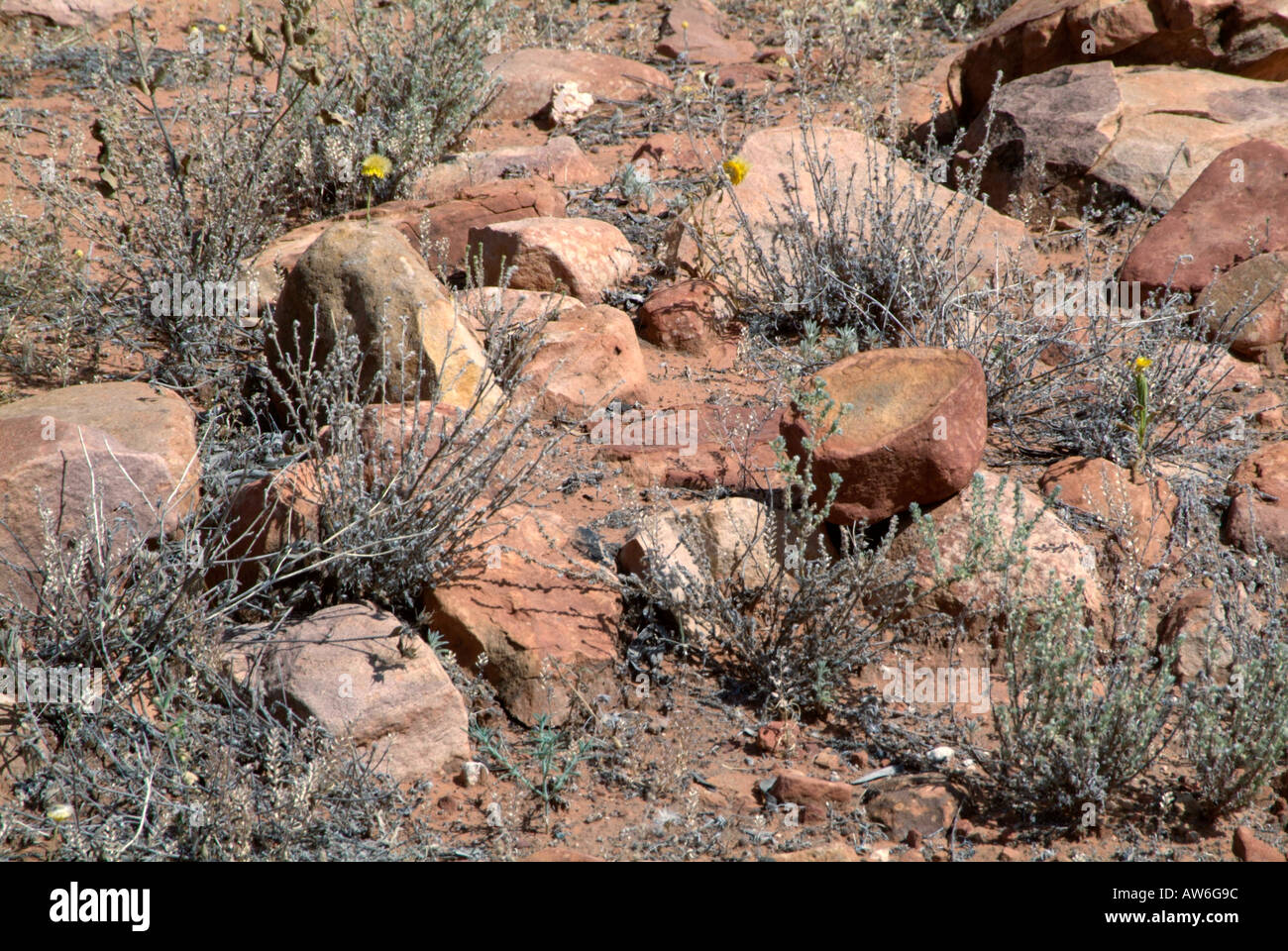 Australian outback scrub desert Australia rock water dry arid hot heat ...