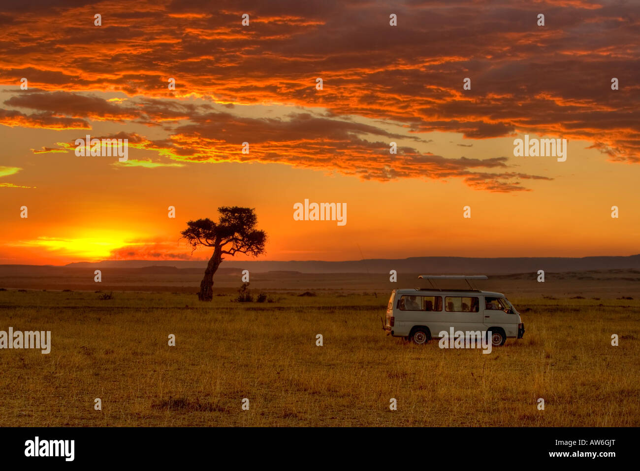 Sunset over the plains of Maasai Mara Kenya with silhouetted acacia ...