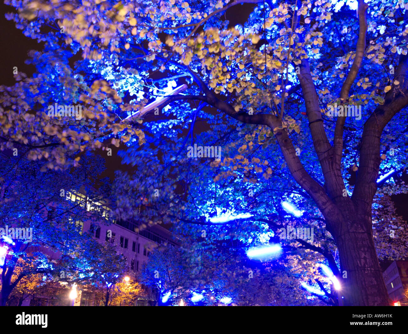Linden blue hi-res stock photography and images - Alamy