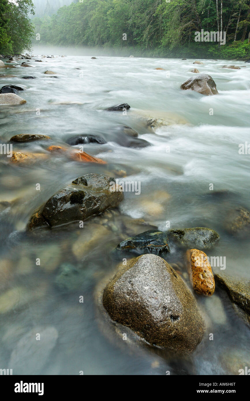 Stillaguamish river, washington hi-res stock photography and images - Alamy