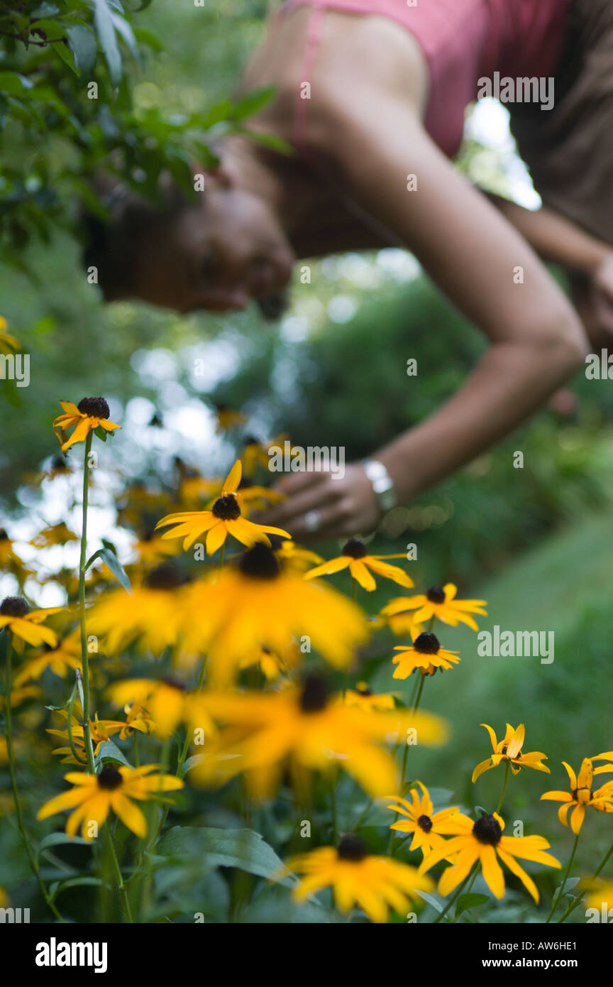 Woman Picking Flowers Stock Photo - Alamy