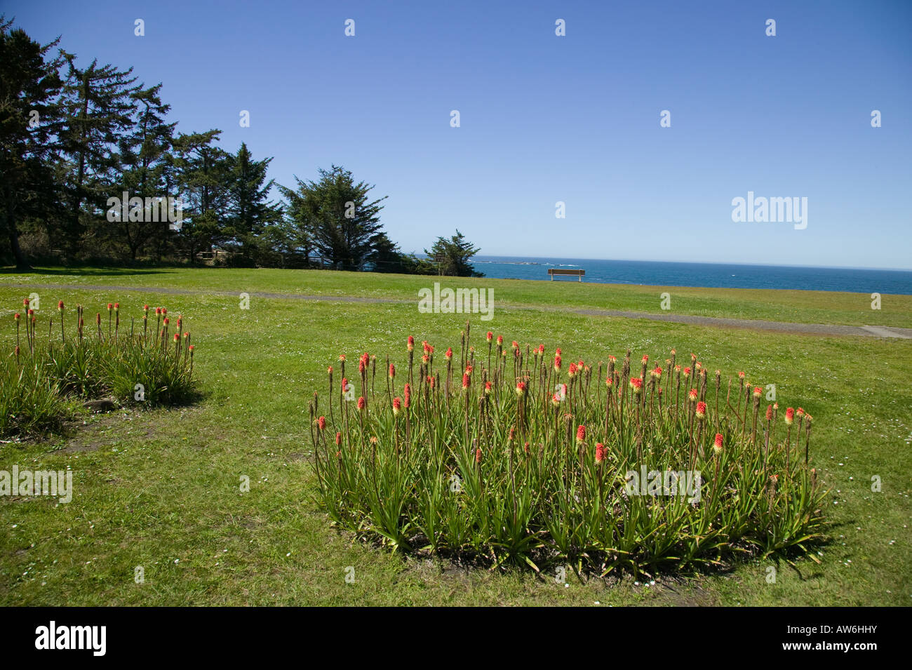 Shore Acres State Park, Oregon, USA Stock Photo - Alamy