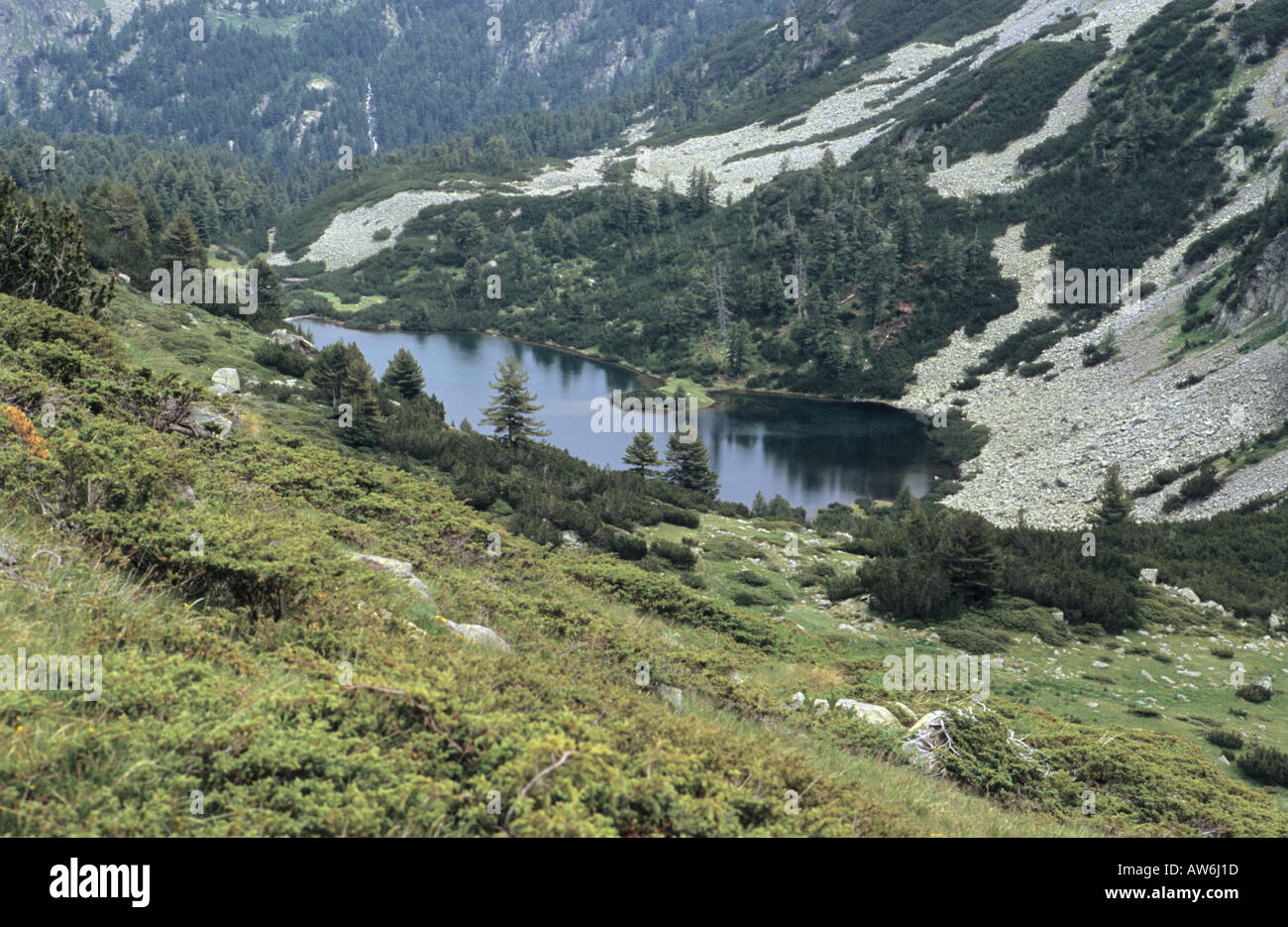 Ribno Lake High Resolution Stock Photography and Images - Alamy