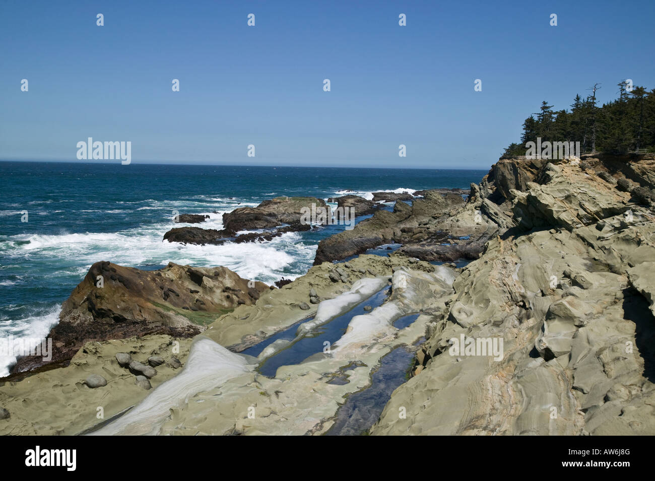 Pacific Ocean Shore Acres State Park, Oregon, USA Stock Photo - Alamy