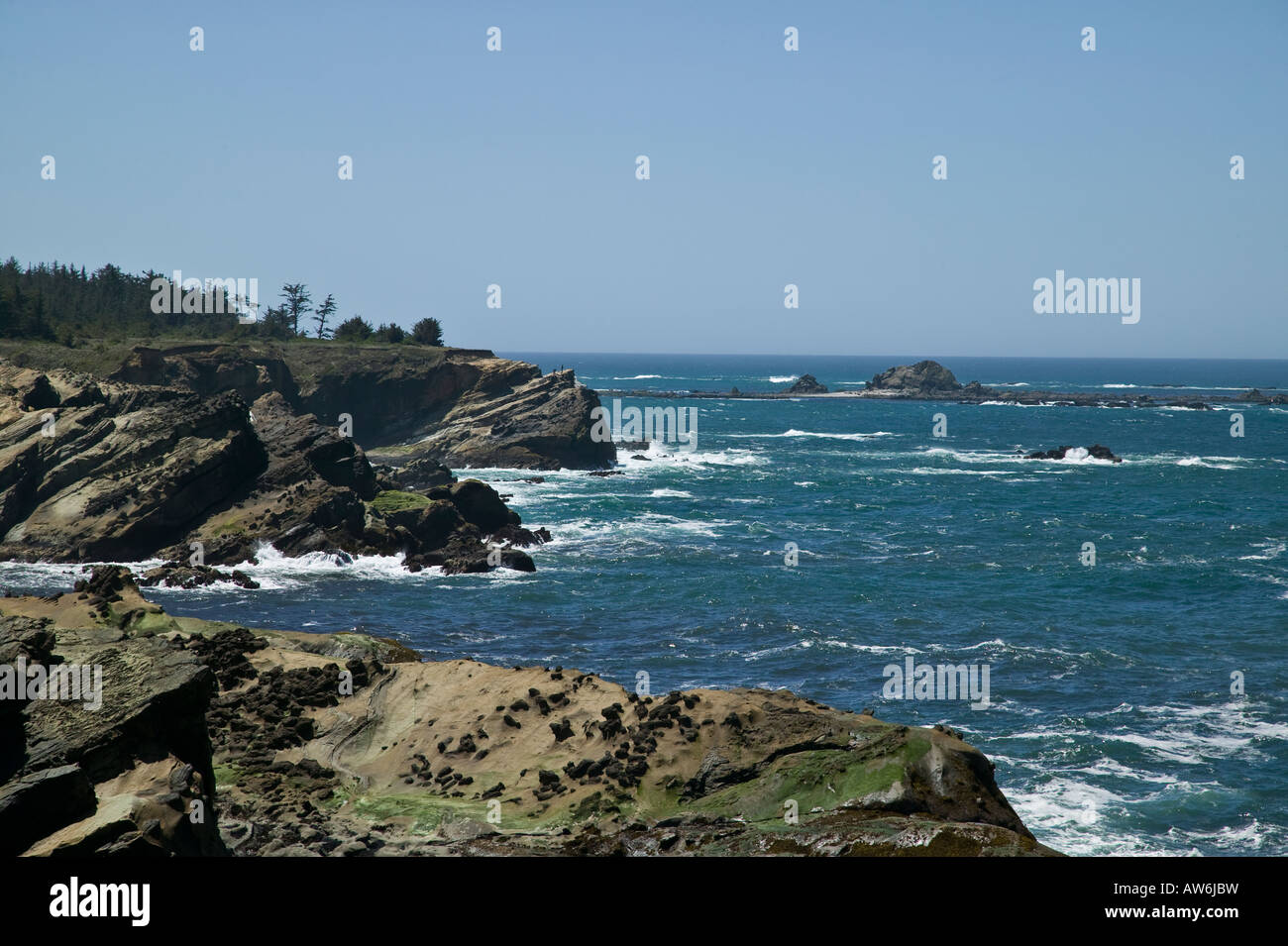 Pacific Ocean Shore Acres State Park, Oregon, USA Stock Photo - Alamy