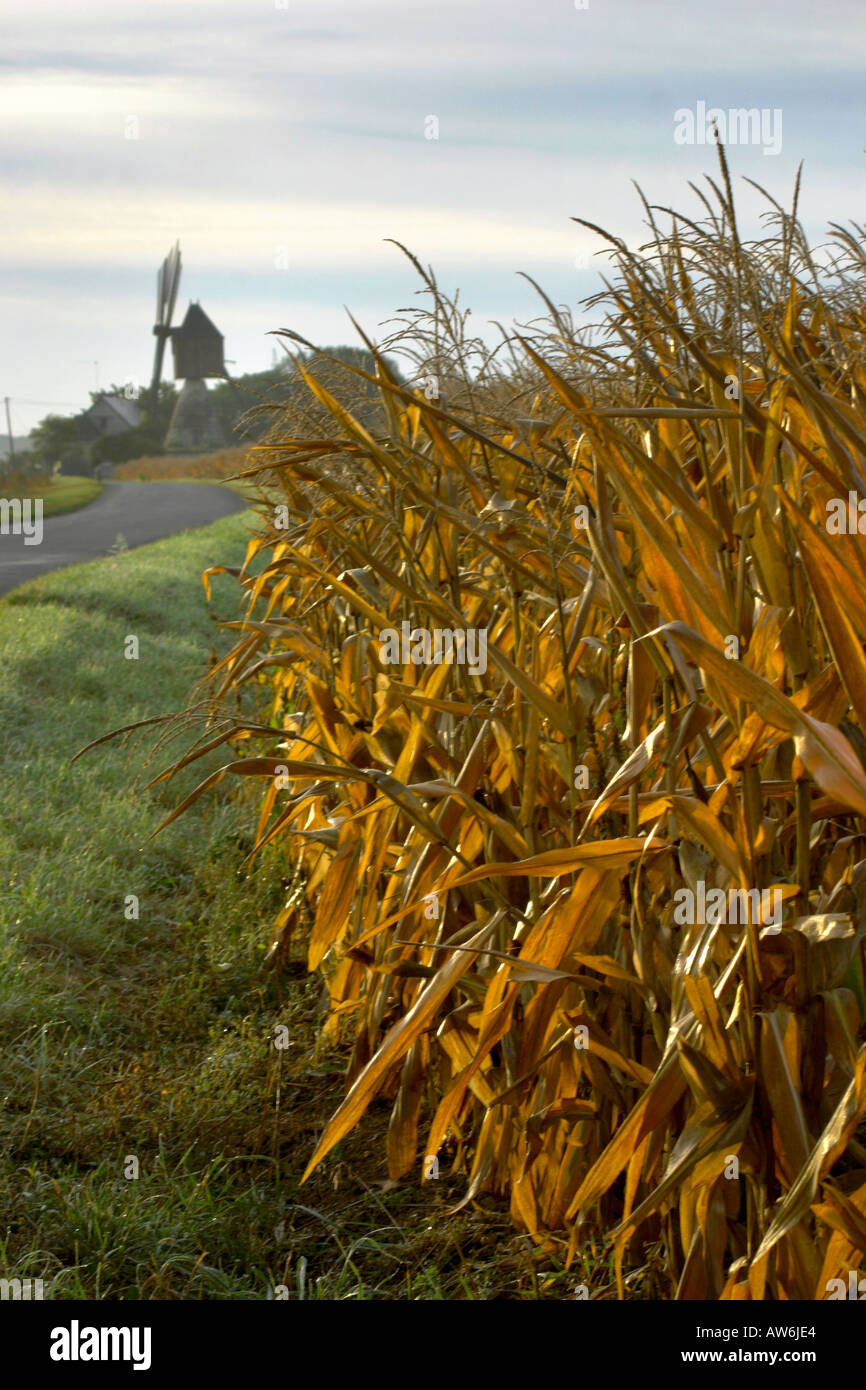 Mill corn hi-res stock photography and images - Alamy