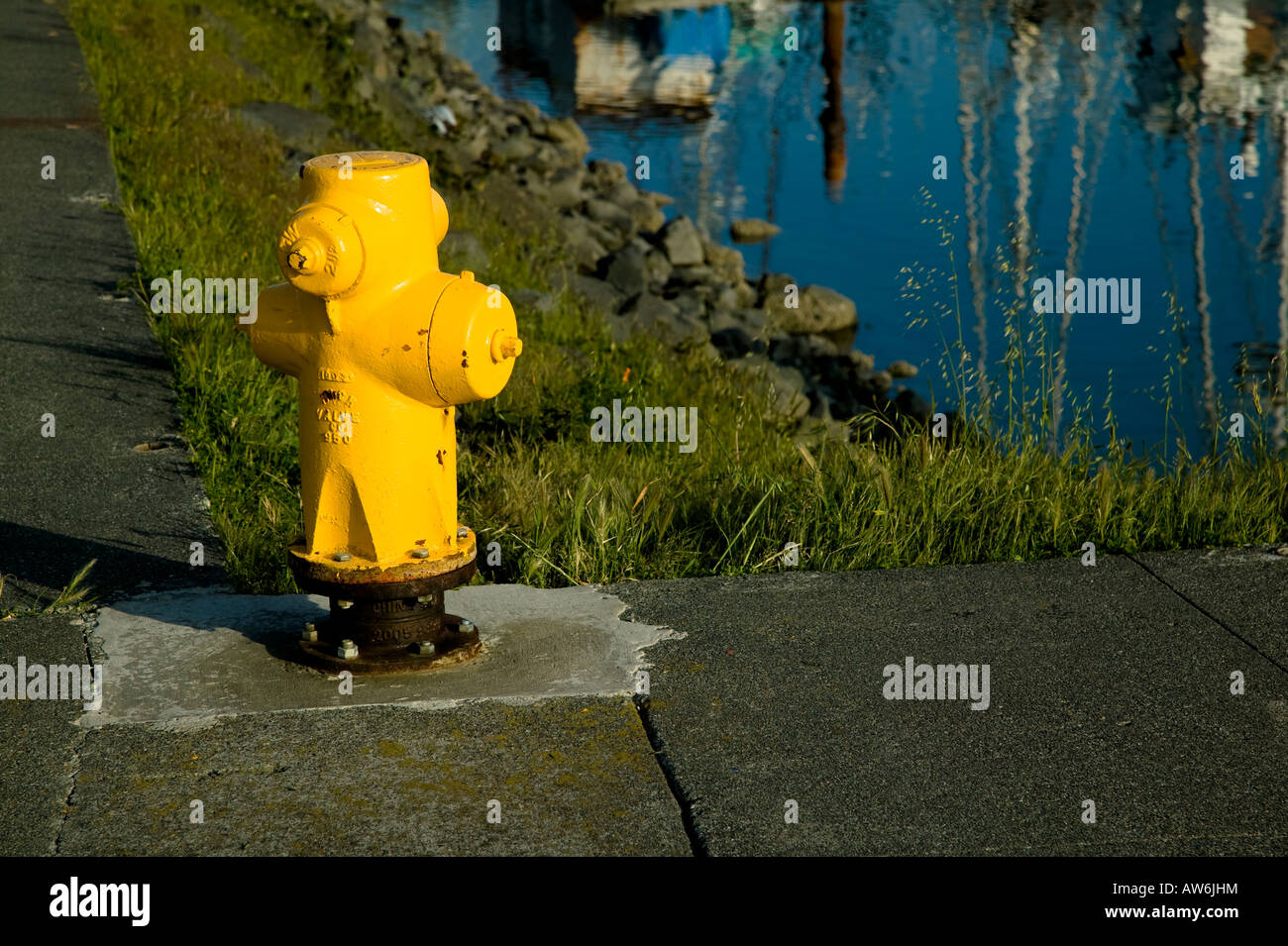 Yellow fire hydrant Crescent City, California, USA Stock Photo - Alamy