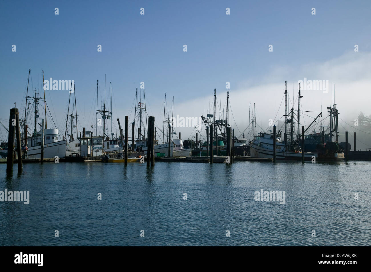 Charleston commercial fishing boat hi-res stock photography and images ...