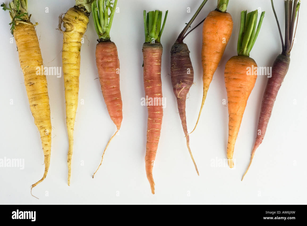 Carrots different colours hi-res stock photography and images - Alamy