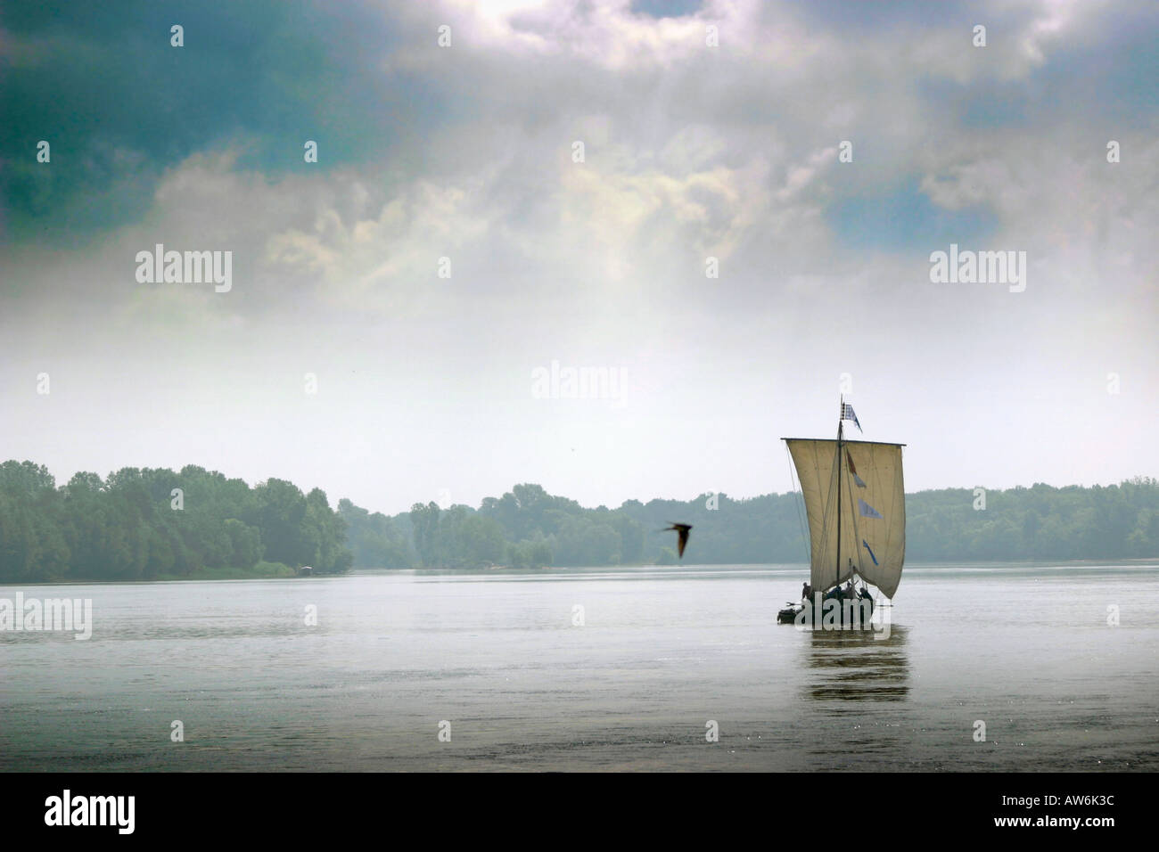 The barge and the bird Stock Photo - Alamy