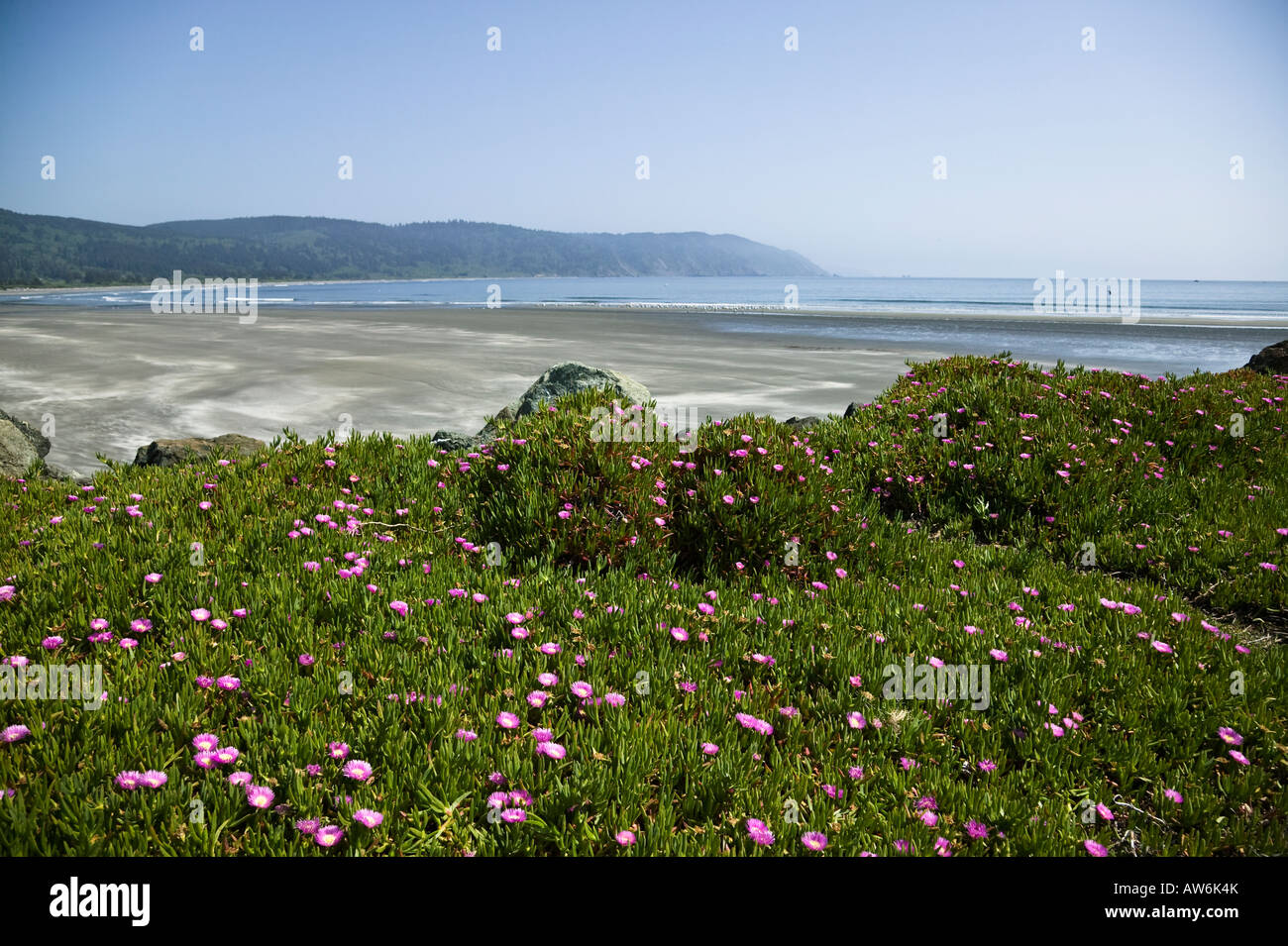 Bay and crescent spring hi-res stock photography and images - Alamy