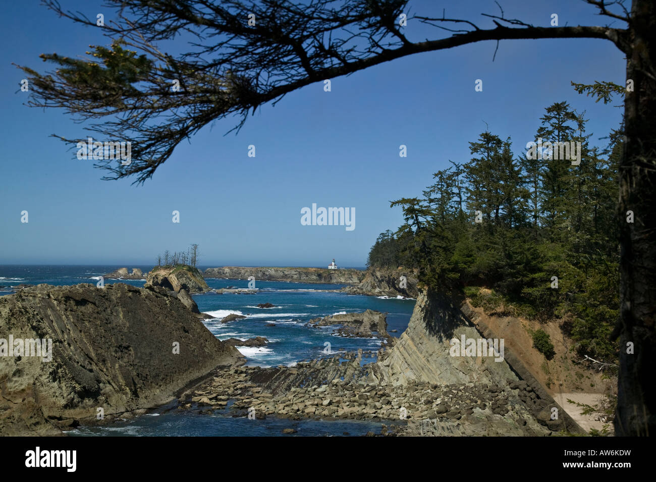 Shore Acres State Park, Oregon, USA Stock Photo - Alamy