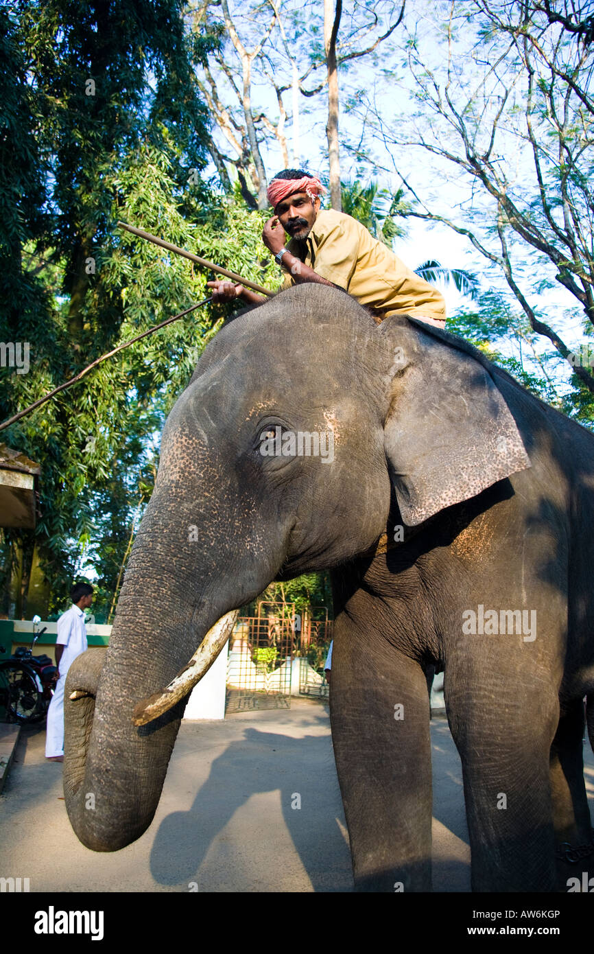 Elephant and mahout, Kodanad Elephant Training Centre, Perumbavoor ...
